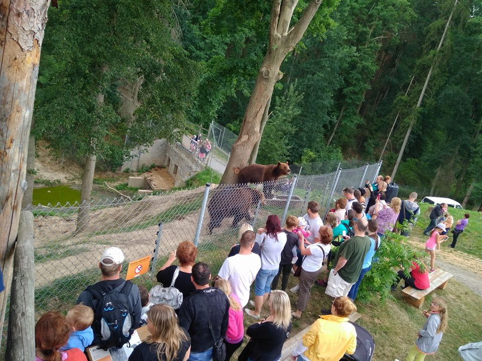 Zoo Tábor zahájila hlavní sezonu. Už brzy navíc přivítá nový vzácný ...