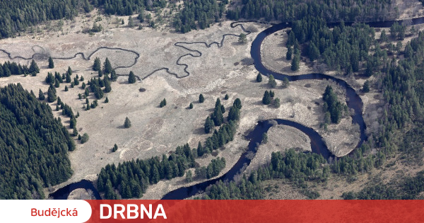 Zájem o splouvání Teplé Vltavy pro letošní sezonu je opět vysoký