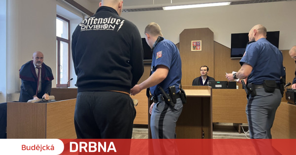 Za vraždu bratrance si muž odpyká 13 let, družku oběti soud zprostil viny