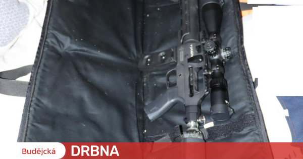 Muž střílel na psa, který vběhl na zahradu. Fenu museli uspat