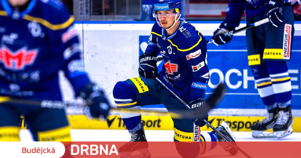 Hokejový útočník Beránek dostal jednozápasový trest za faul na Pláňka
