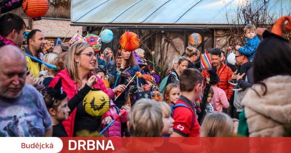 Abrakadabra, čáry máry pojďte se bát za zvířátky do Zoo Hluboká