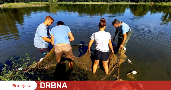 Zlepší se kvalita vody v Bagru? Na vině může být vysoký počet ryb