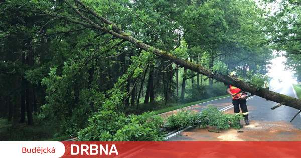 Kvůli bouřce je na jihu Čech 12 tisíc domácností bez elektřiny. Některé vlaky stále nejezdí