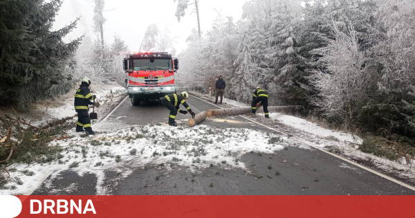 Ledovka na silnici a padající stromy. Mrazivé počasí komplikuje dopravu | Galerie | Budějcká ...