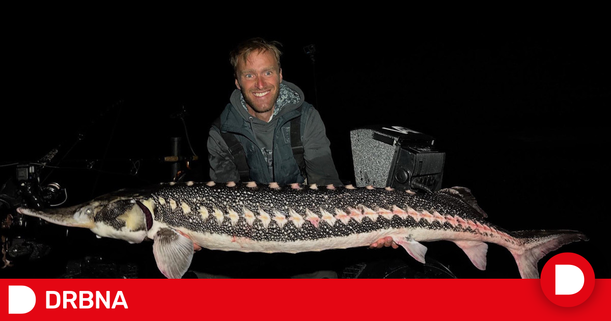 Prehistorická příšera na Orlíku, Jakub Vágner se pochlubil překvapivým ...