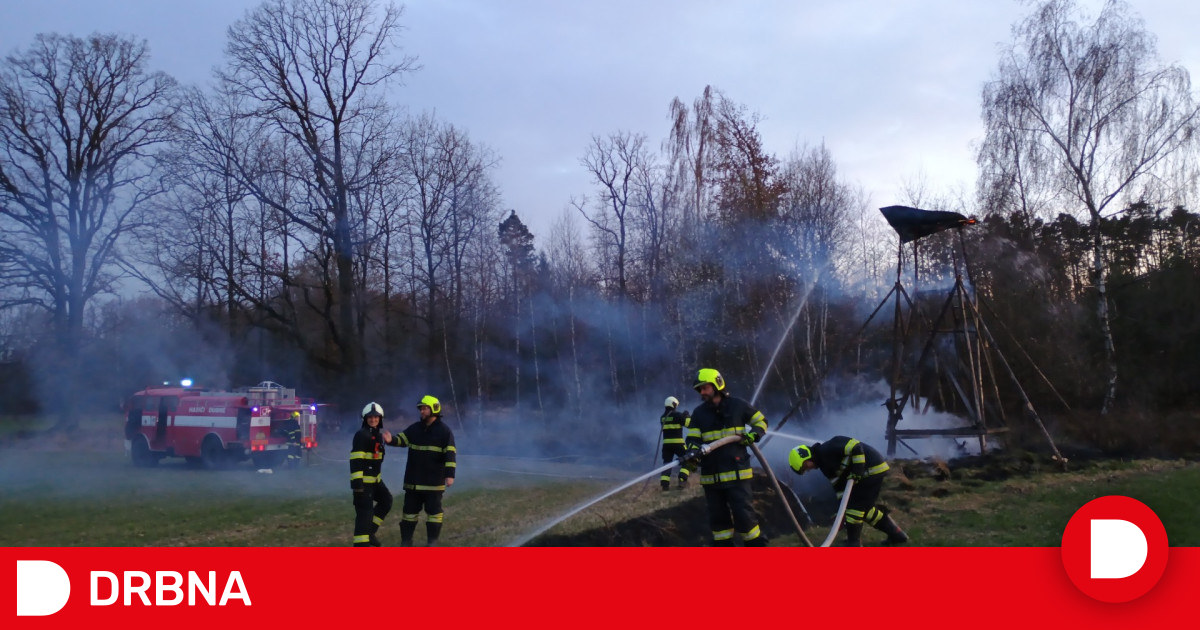 U Třebína a Křenova dnes hasiči likvidovali velké požáry lesa, shořel i ...